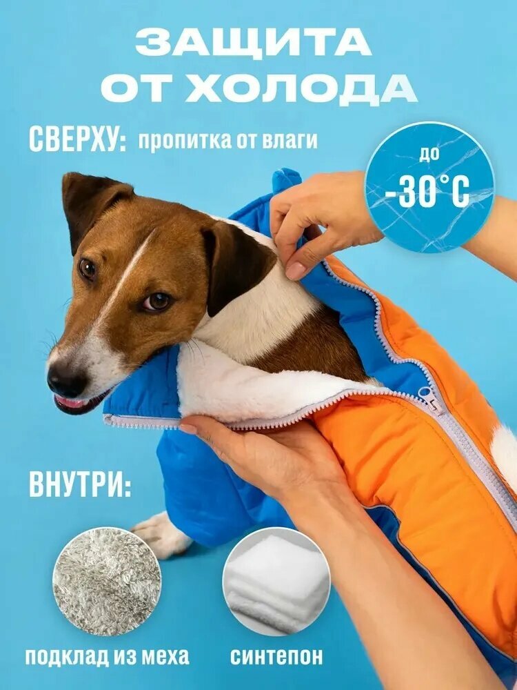 Одежда для животных — фото 1