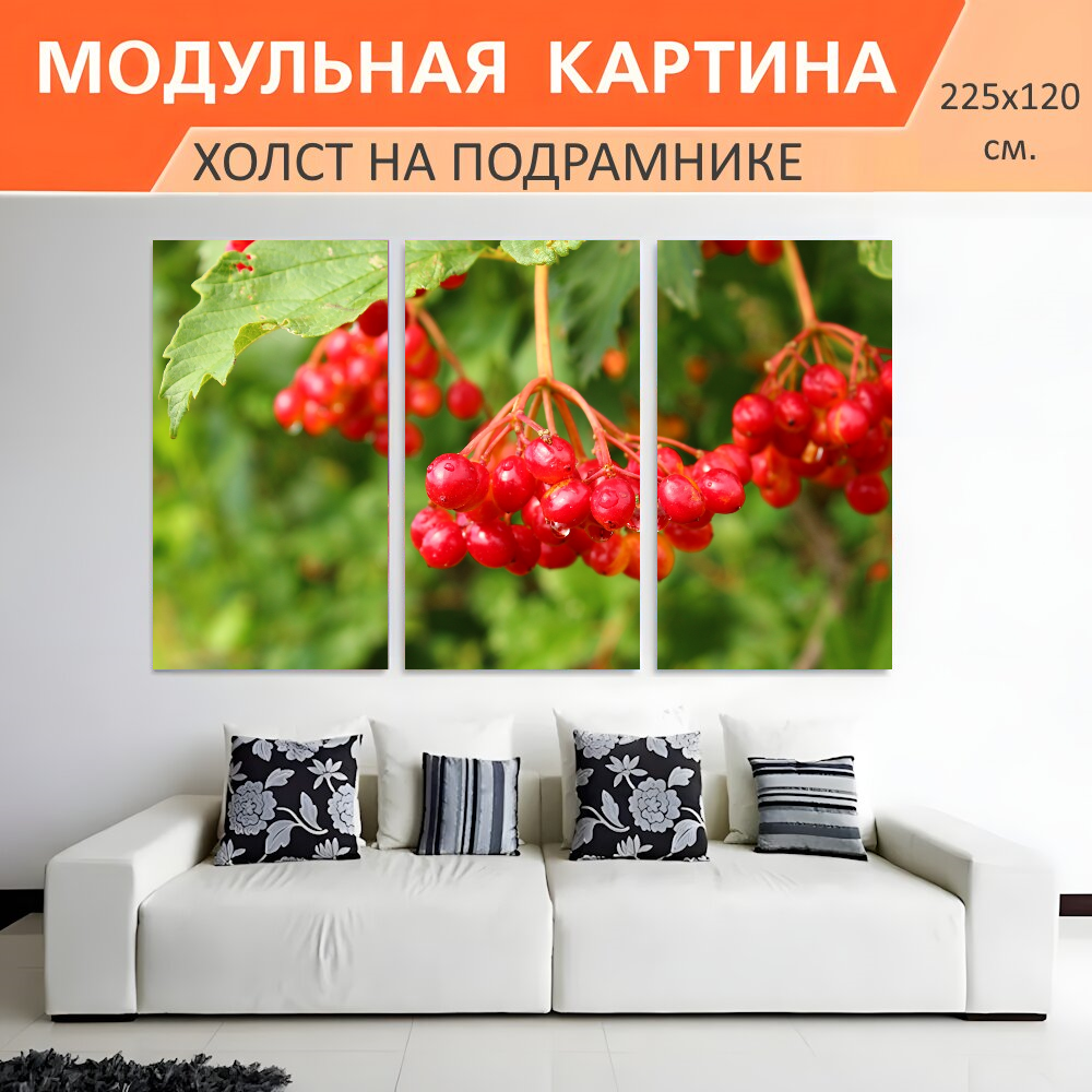 Модульная картина на холсте "Калина, ягода, плоды" триптих на подрамнике 225х120 см. для интерьера