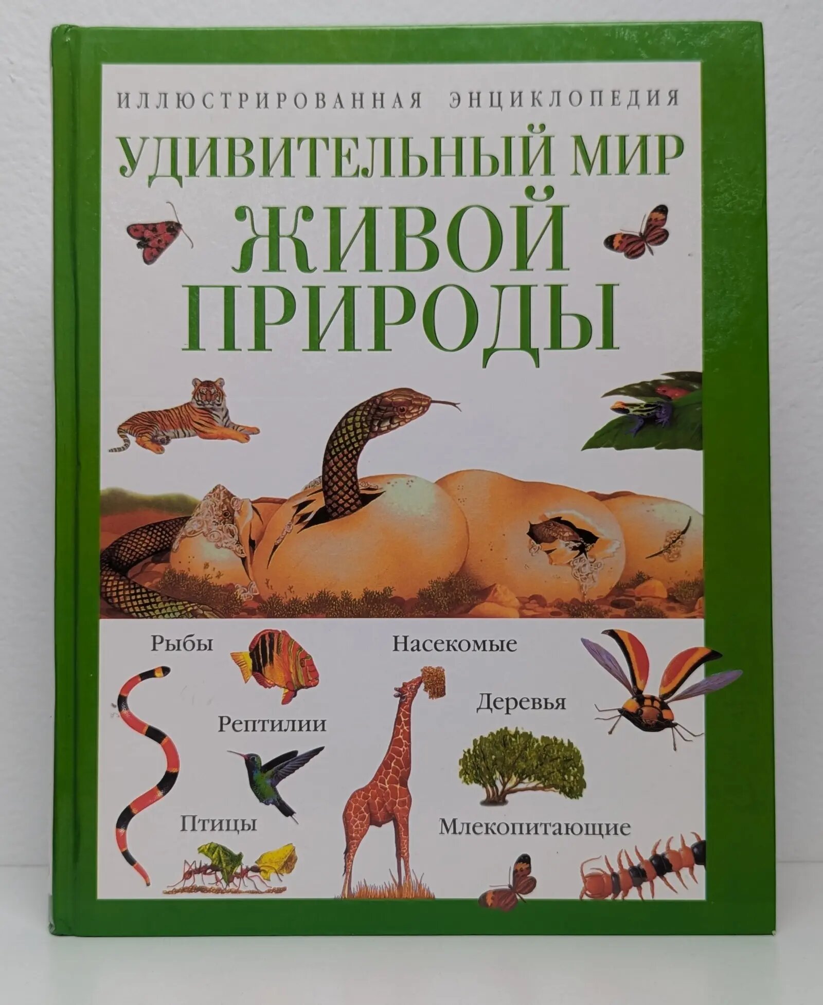 Удивительный мир живой природы Виттакер Бибби 2006