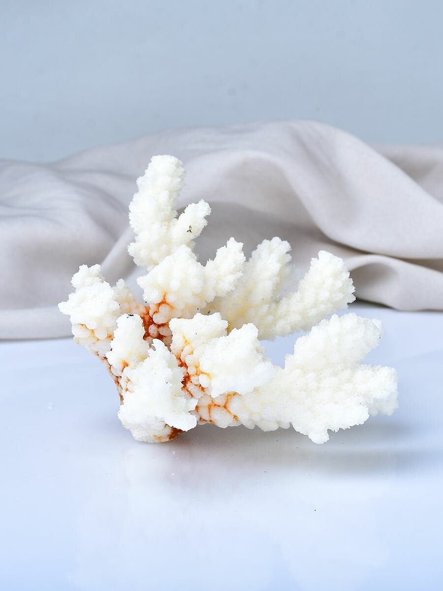 Натуральный коралл необработанный, камень для украшений ручной работы, минерал для декора аквариума и фэншуй, сырьё для бижутерии 20-39 г