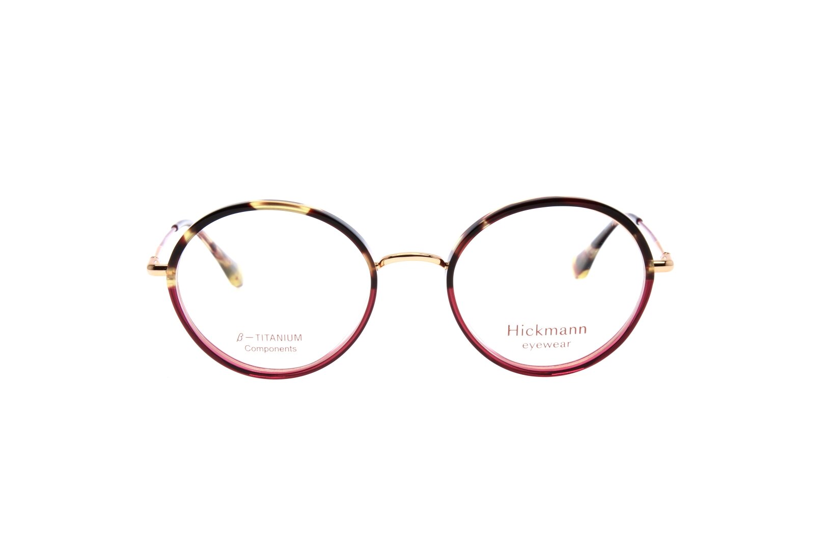 Очки для зрения ANA HICKMANN HI1257T P01