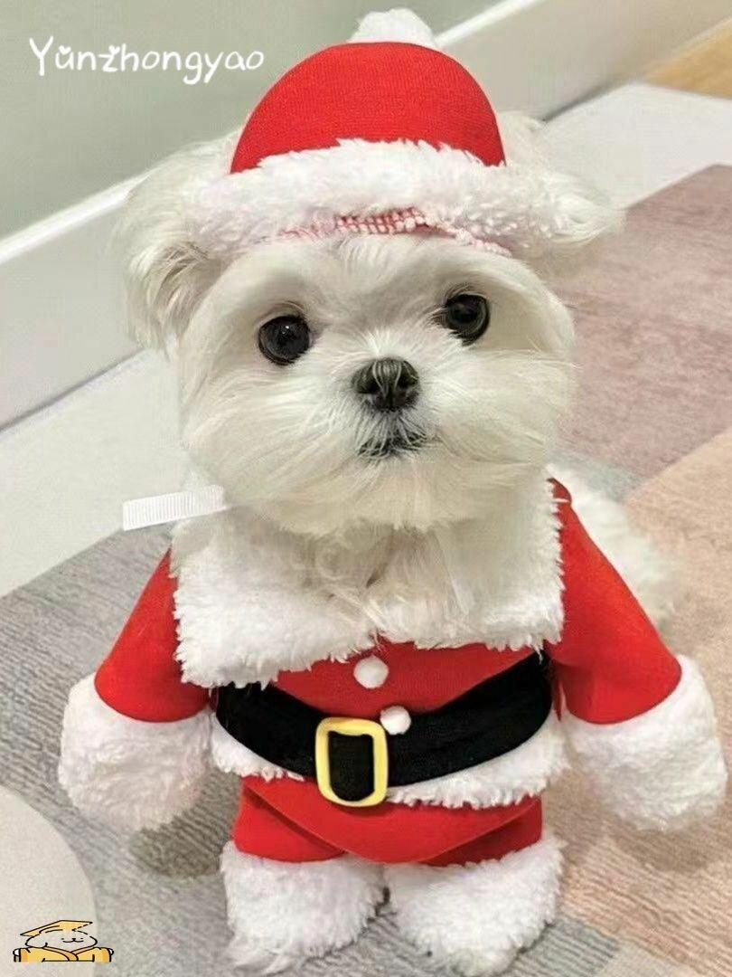 Yunzhongyao рождественский костюм Дедушки Мороза, Смешная одежда для собак и кошек, COSPLAY, Рождество