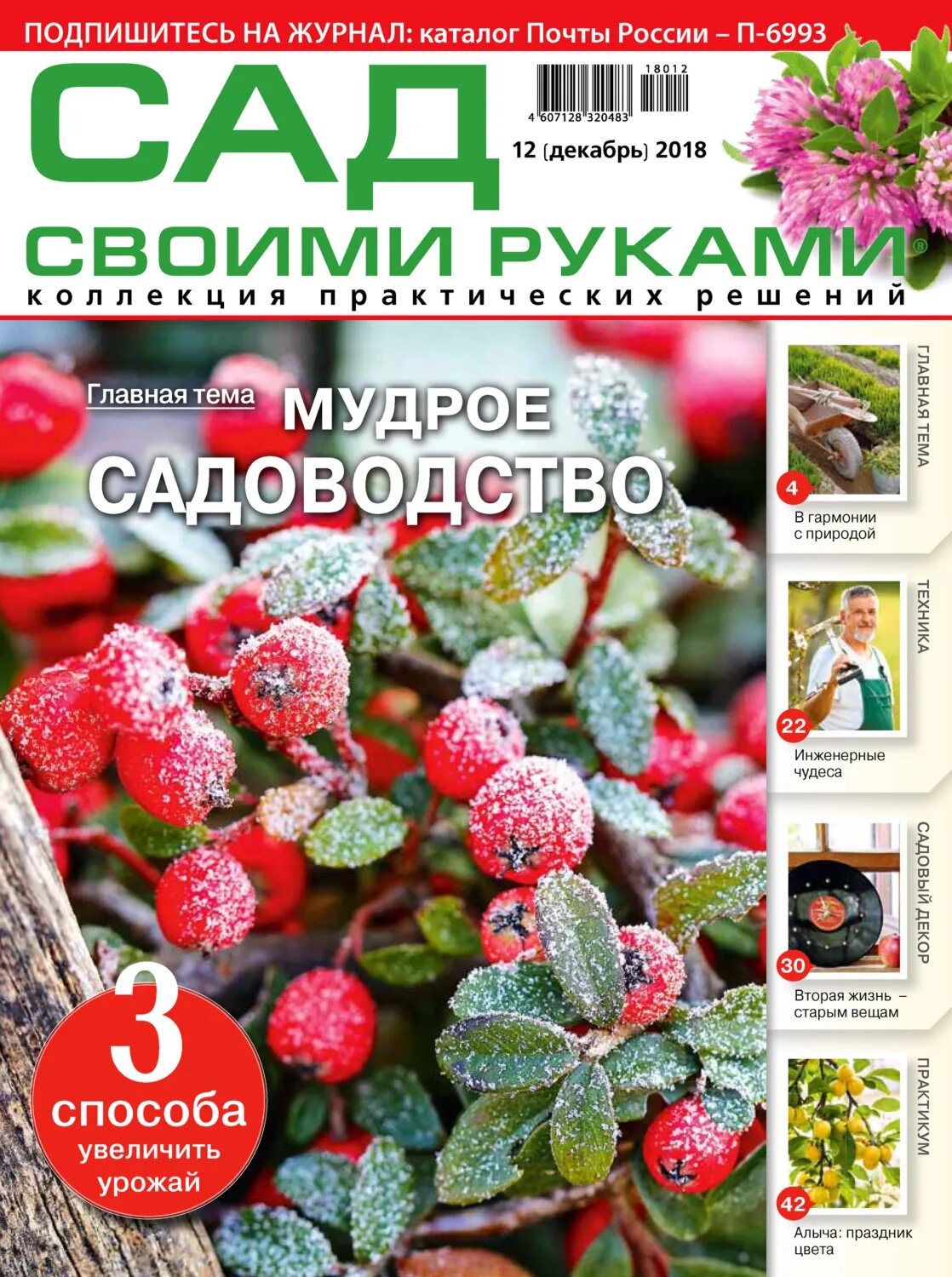 Сад своими руками №12/2018 [Цифровая книга]