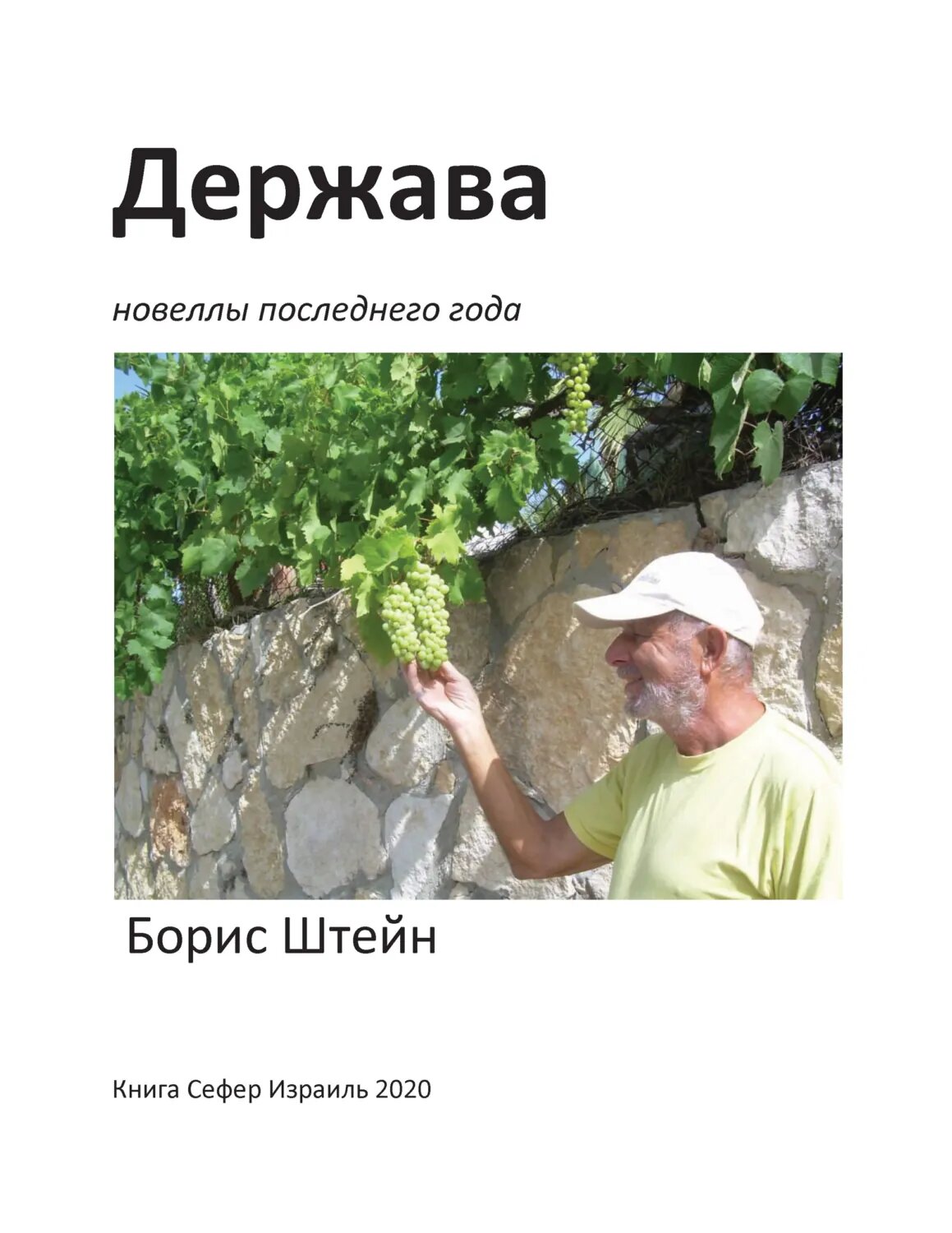 Держава. Новеллы последнего года [Цифровая книга]