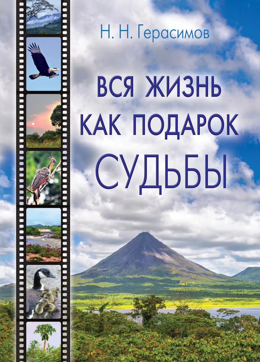 Вся жизнь как подарок судьбы [Цифровая книга]