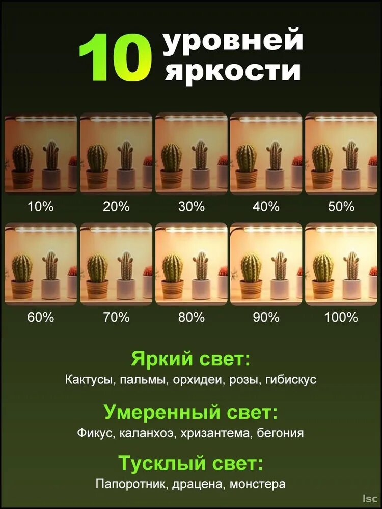 Фитосветильник — фото 1