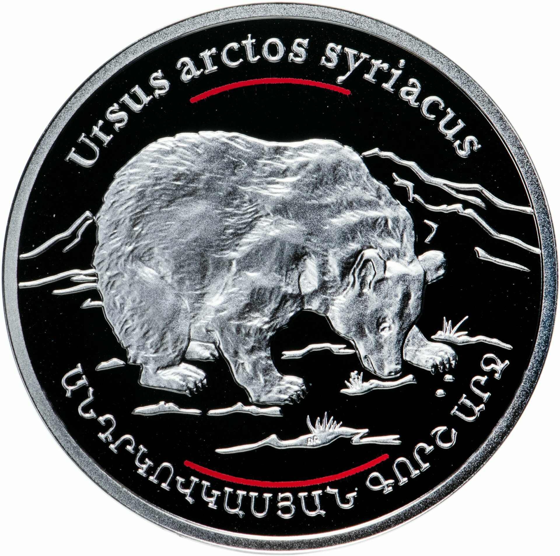 Армения 100 драмов 2006 Proof "Cирийский бурый медведь - красная книга", Серебро 925