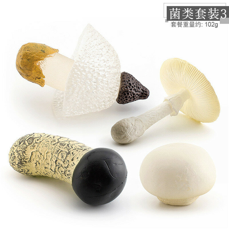 Набор реалистичных грибов с съедобными шиитаке, эноки, матсутаке и ядовитым зонтиком, декоративные модели для домашнего декора