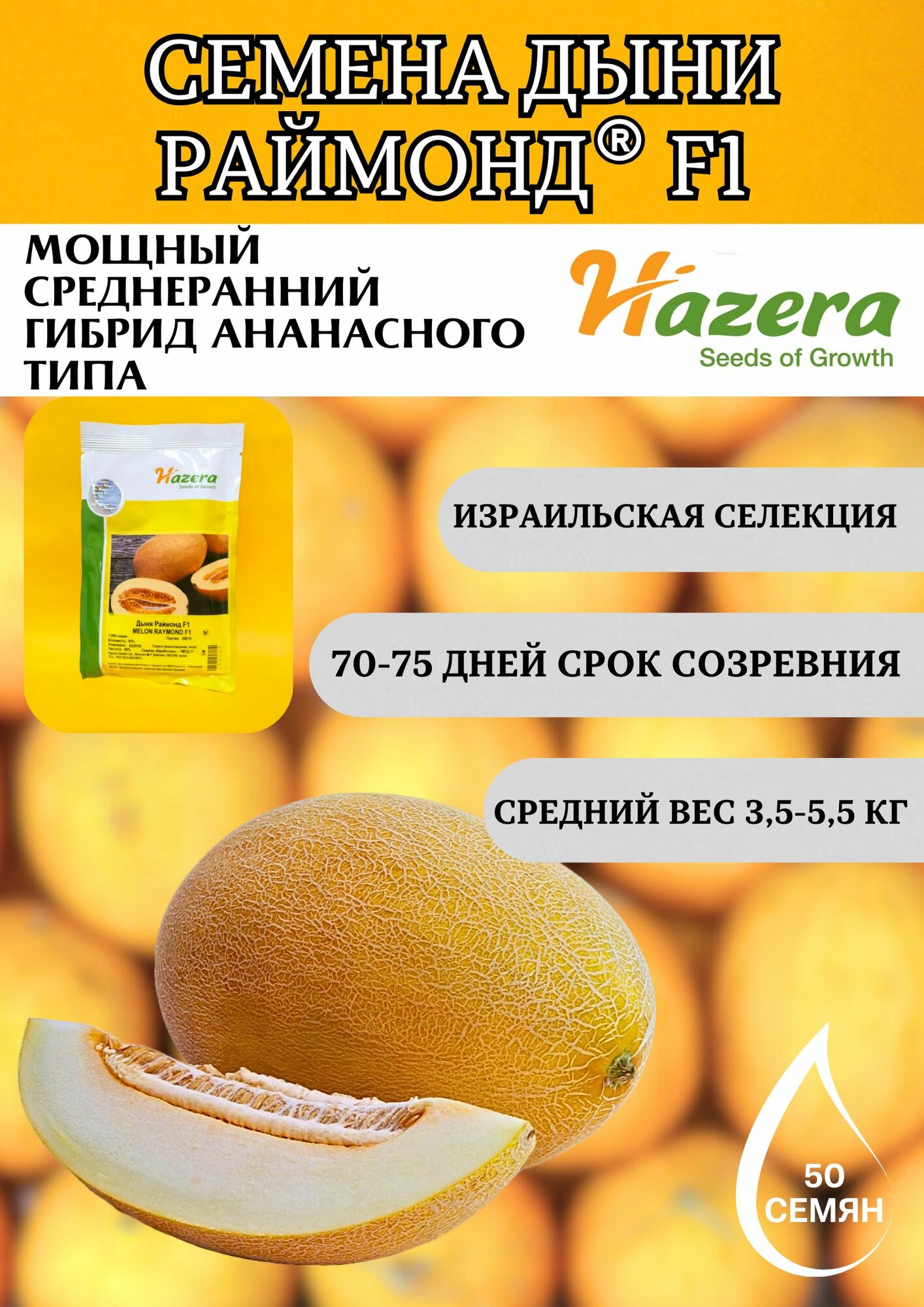 Семена дыни Раймонд F1 50 шт Hazera, профессиональные семена