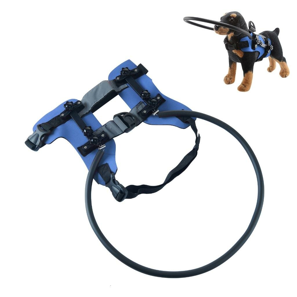 Защитный ошейник для слепых собак, Синий - S