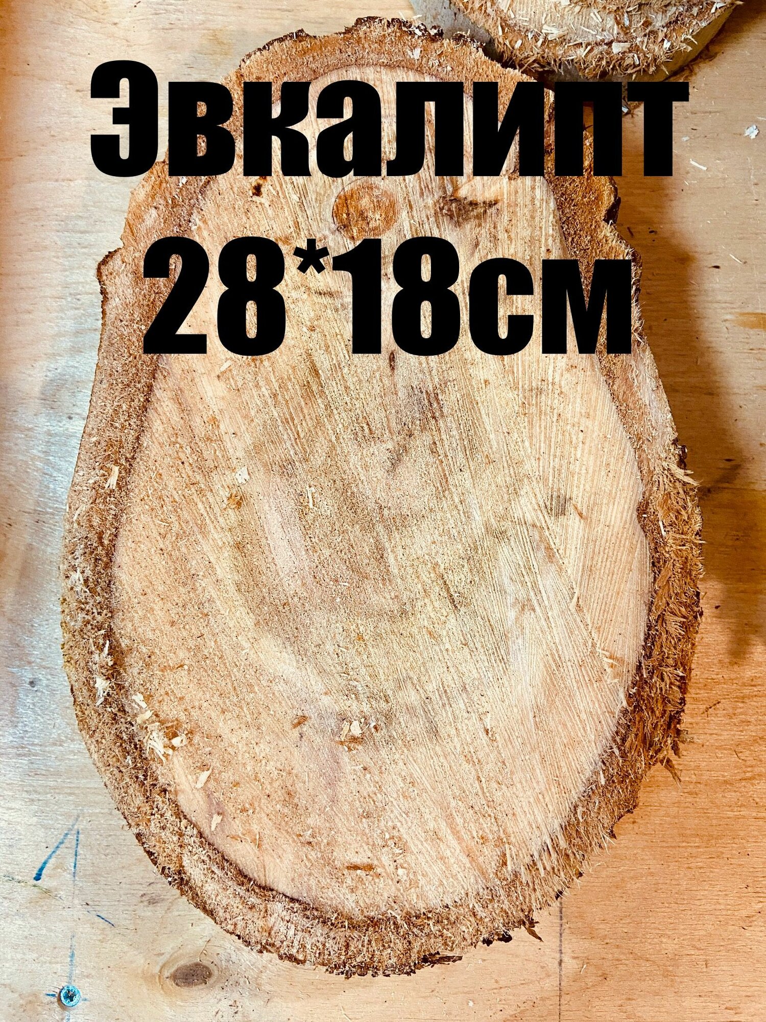 Спил Слэб Эвкалипта диаметр 18*28см
