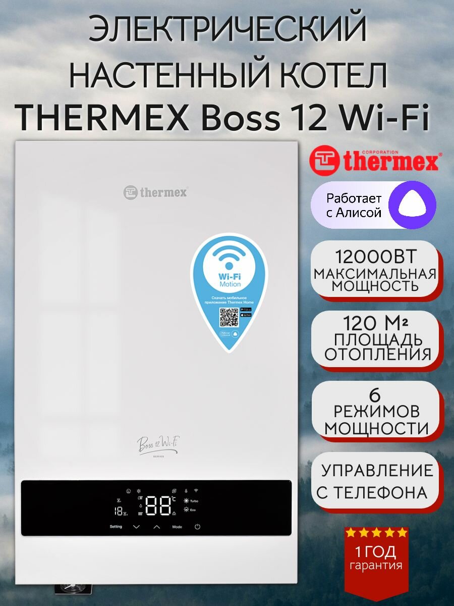 Электрический настенный котел THERMEX Boss 12 Wi-Fi (White)