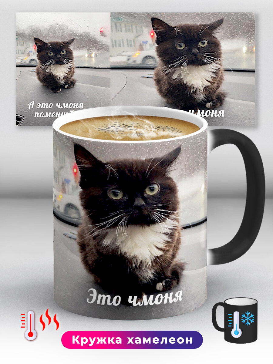 Кружка хамелеон с приколом Мем Чмоня маленький русский кот 330 мл, керамическая с ярким принтом, подходит для СВЧ