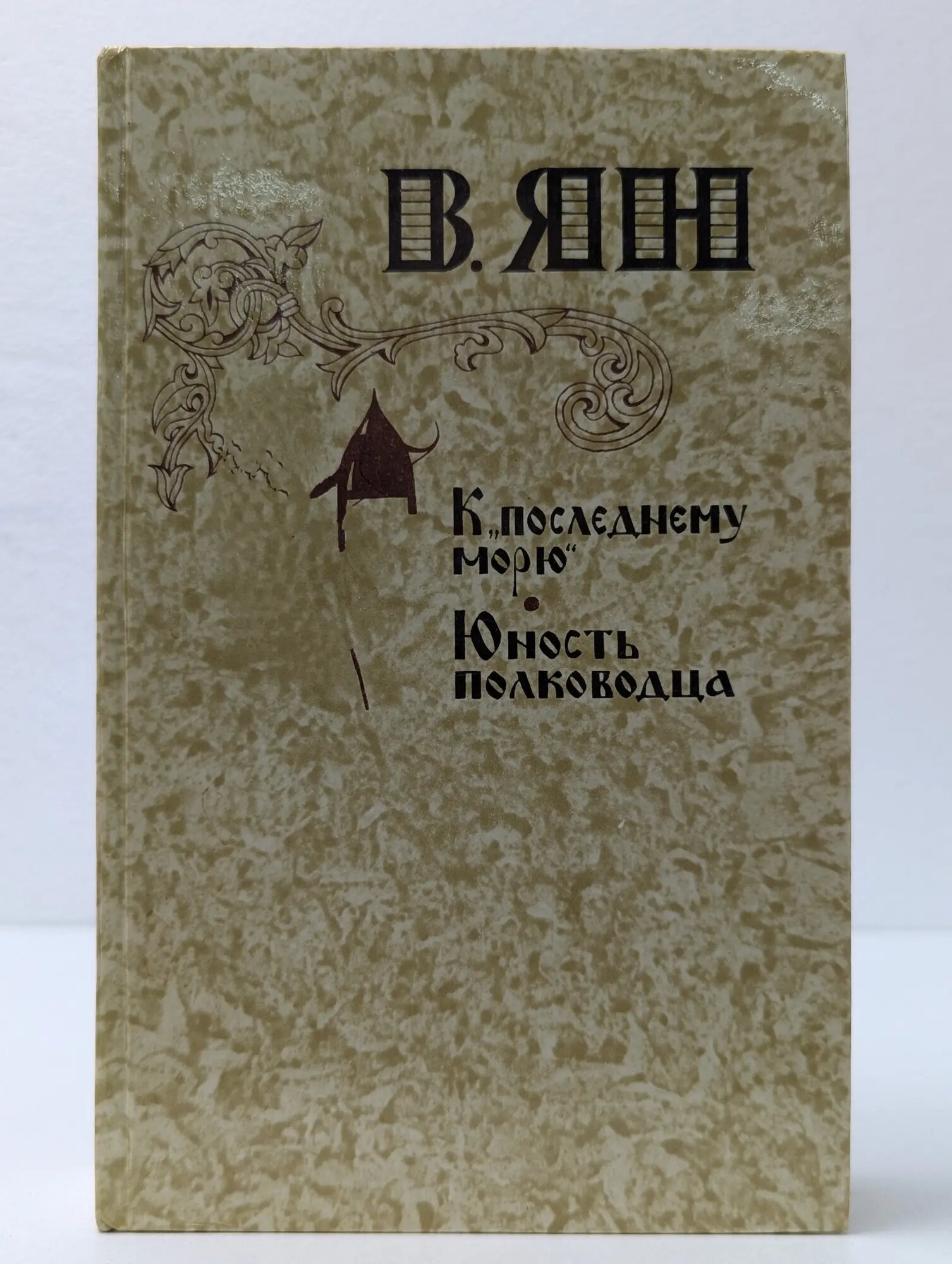К "последнему морю". Юность полководца Ян Василий Григорьевич 1981