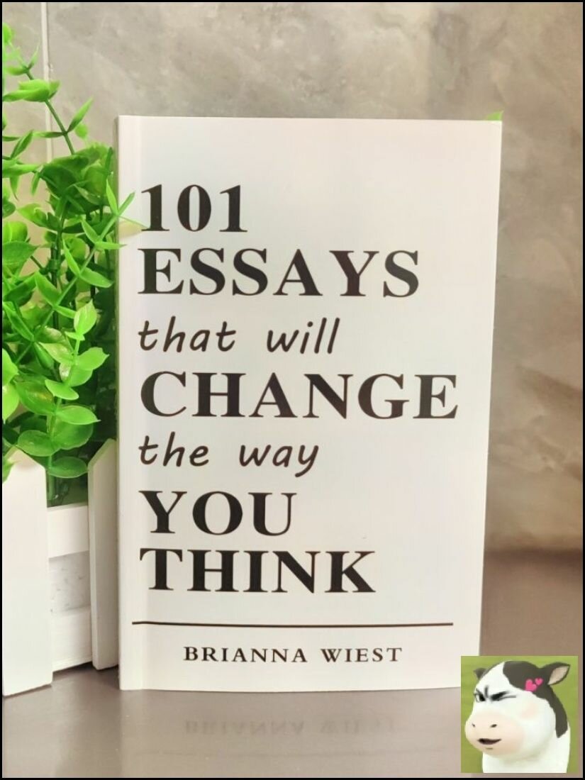 101 Essays That Will Change The Way You Think-Brianna Wiest