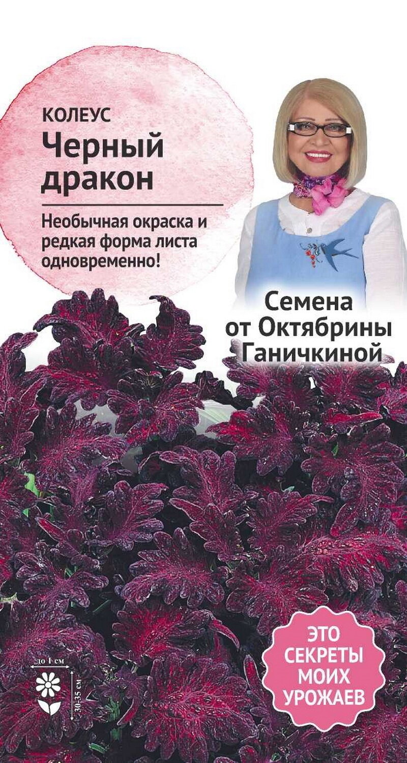 Семена цветов Семена от Октябрины Ганичкиной колеус Черный дракон 10 шт, для дачи, сада, огорода и на рассаду