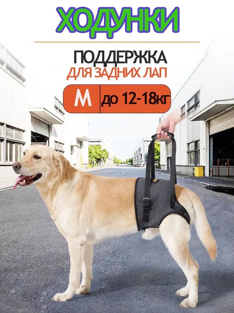 Ходунки для собак. Поддержка для задних лап, до 12-18кг
