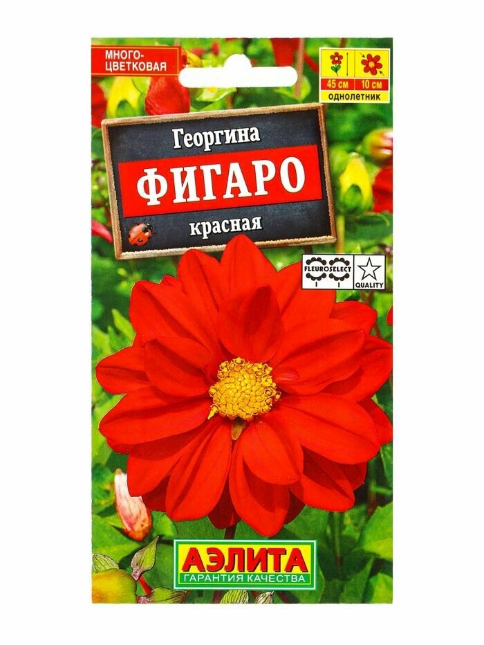 Семена цветов Георгина Фигаро махровая красная , Ц/П,7 шт.