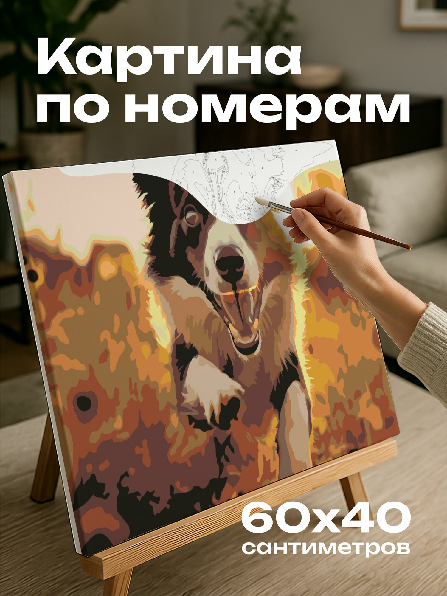 Картина по номерам 60x40 см, бордер-колли, скачущий, поле, трава, шерсть, улыбка, прыжок, возбуждение, свобода