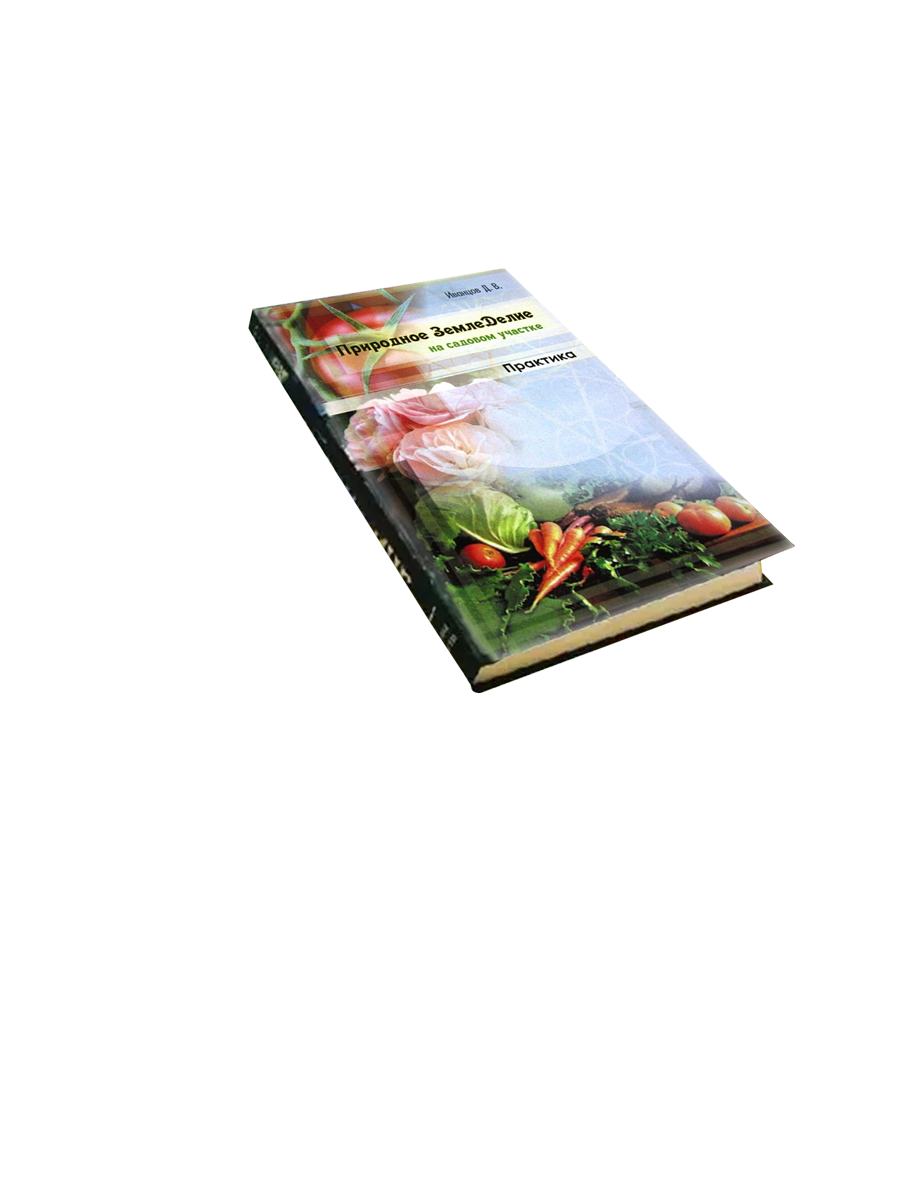 Сияние книга — фото 1