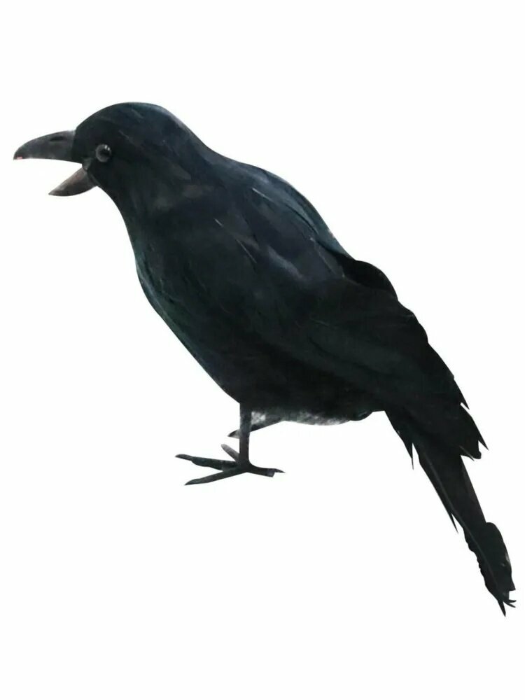 Искусственная ворона на Хэллоуин, черная птица с перьями, пугало для тематической вечеринки