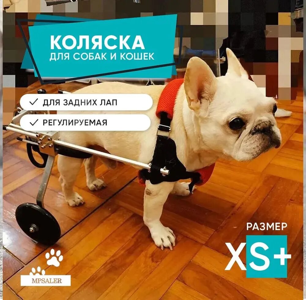 Инвалидная коляска для собак и кошек. Коляска для животных инвалидов. Универсальная. Размер XS+