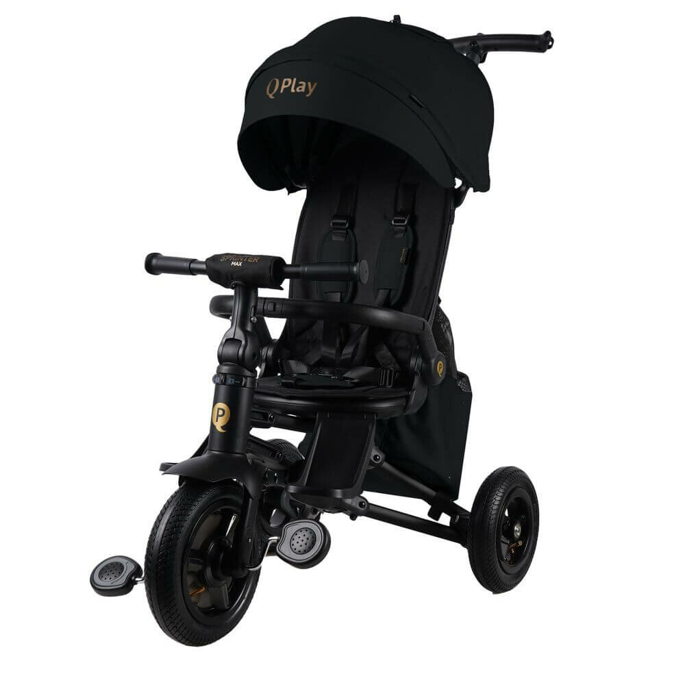 QPlay Sprinter Max S702, детский трехколесный велосипед от 10 месяцев до 6 лет, цвет Black (Oxford/Black)