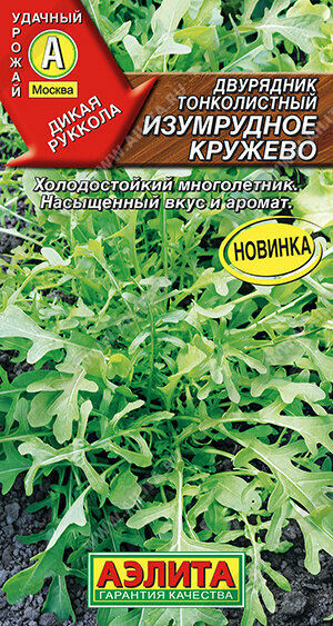 Семена двурядника "Изумрудное кружево" аэлита, однолетние, неприхотливые, скороспелые
