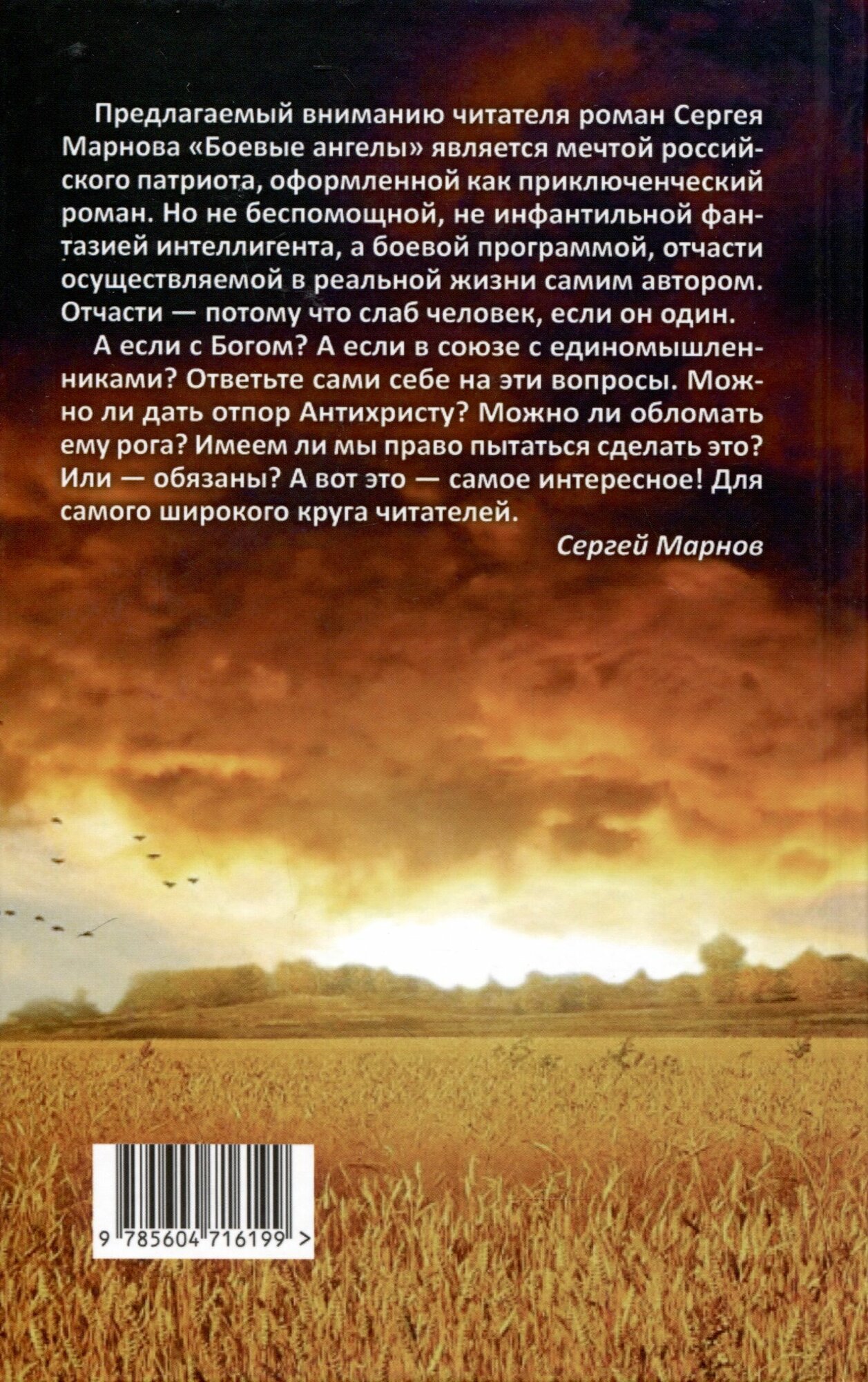 Боевые ангелы — фото 1