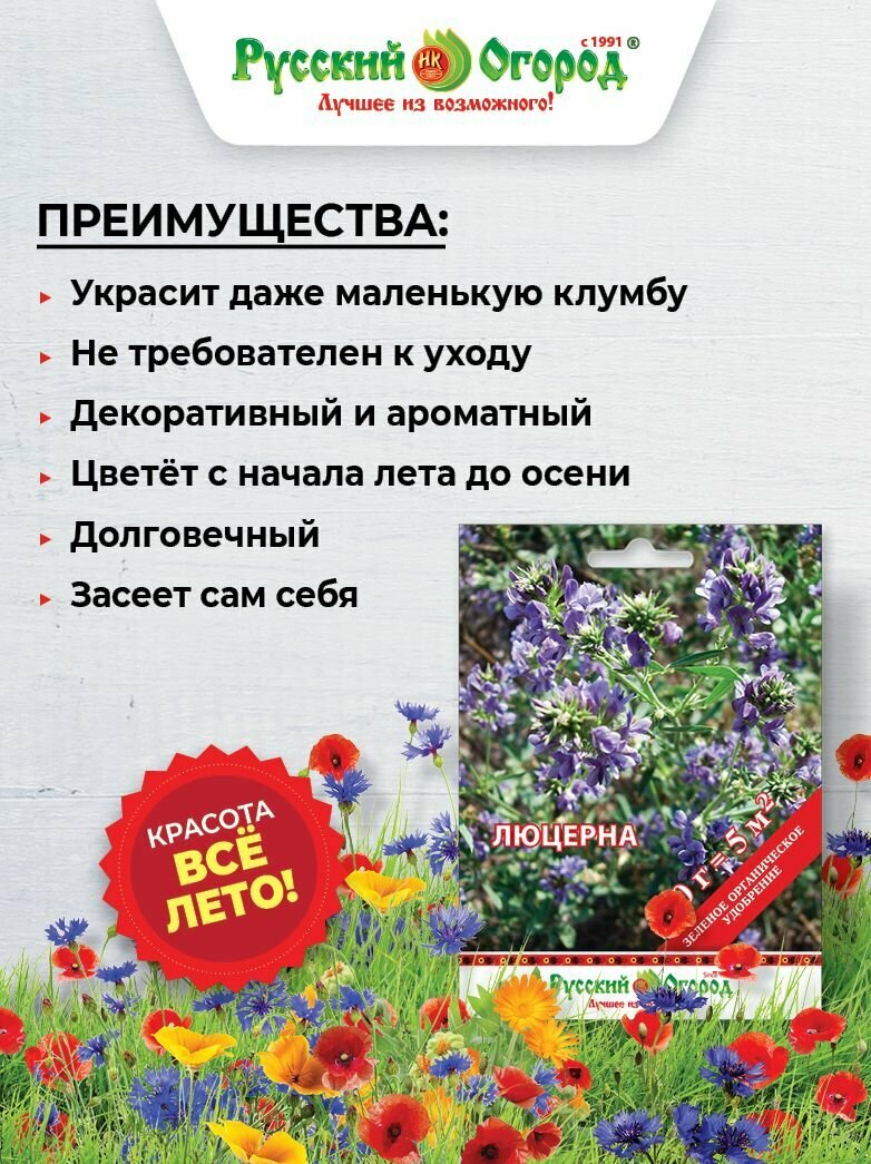 Сидерат Газона Люцерна/Семена. Русский Огород. Семена. — фото 1