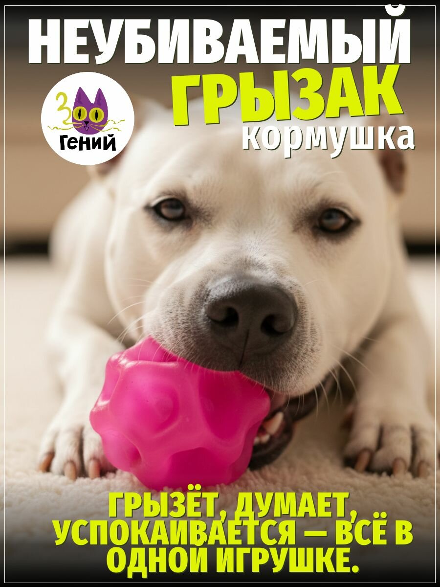 Интерактивная игрушка для собак, мяч с отверстием под корм, жевательный силиконовый мяч для мелких, средних и крупных пород, антистресс и дрессировка