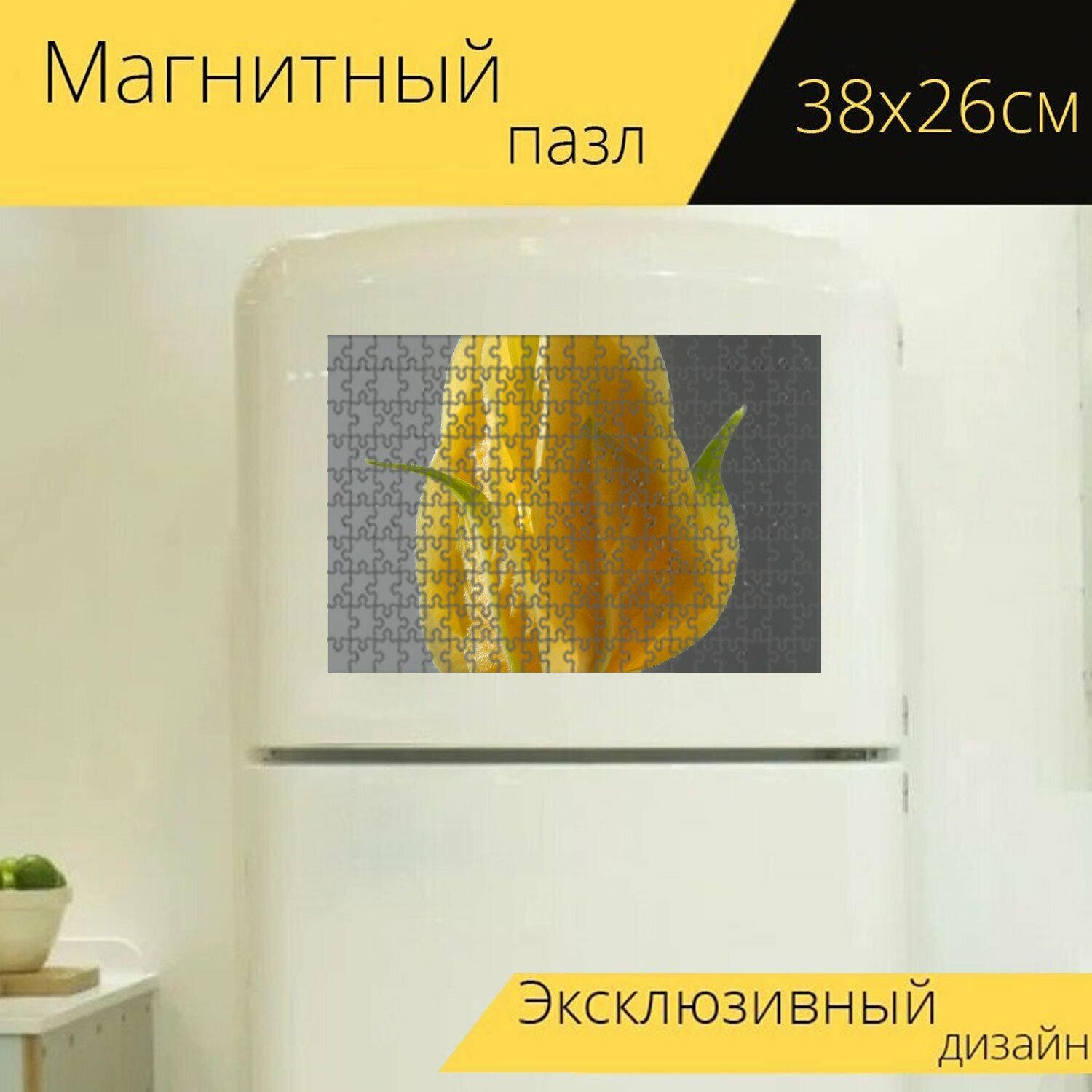 Магнитный пазл "Пахистахис, желтый цветок, бутон" для интерьера, 38х26 см.