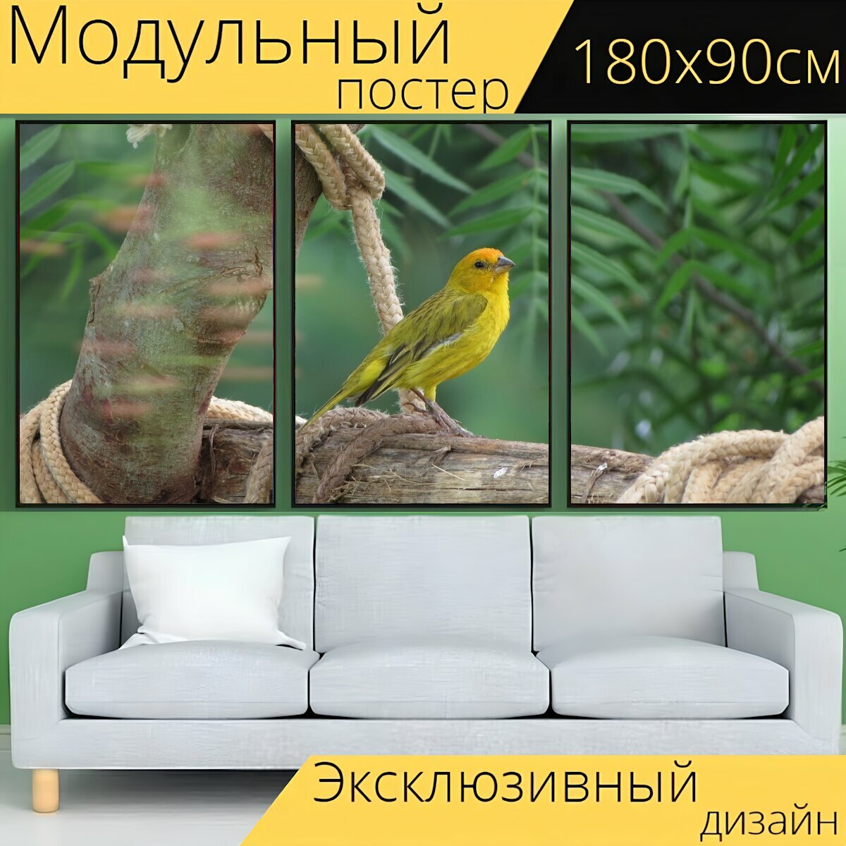 Модульный постер "Канарейка, дерево, тропическая птица" 180 x 90 см. для интерьера на стену в тубусе