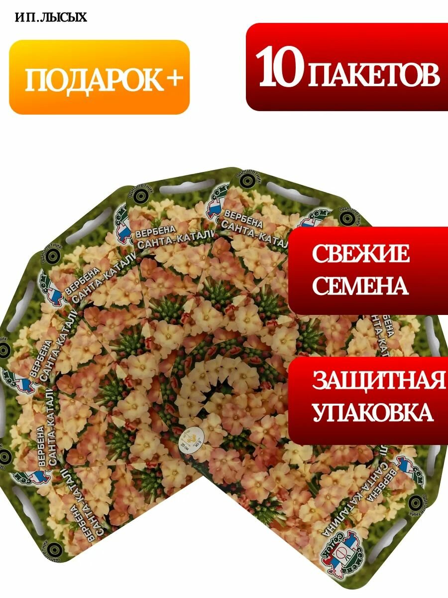 Семена Вербена "Санта-Каталина"