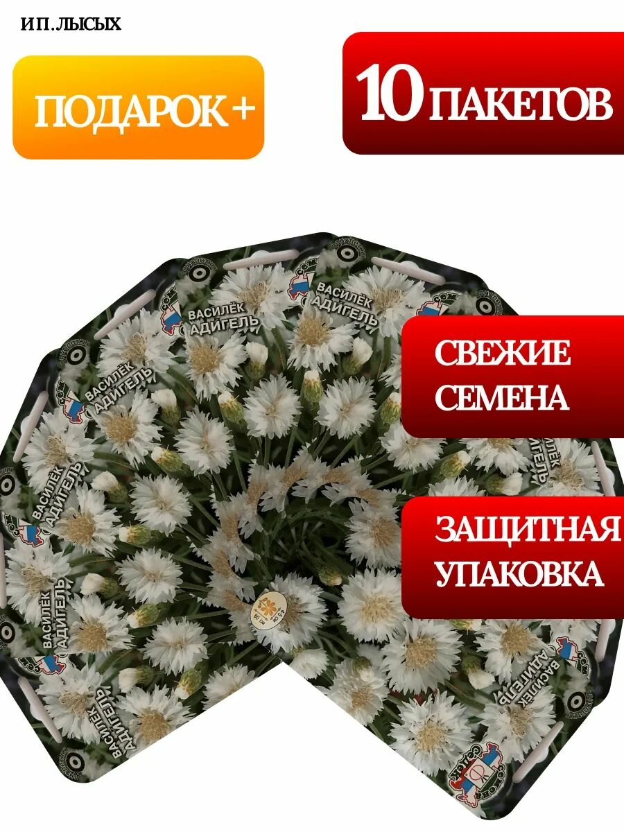 Семена Василек "Адигель"