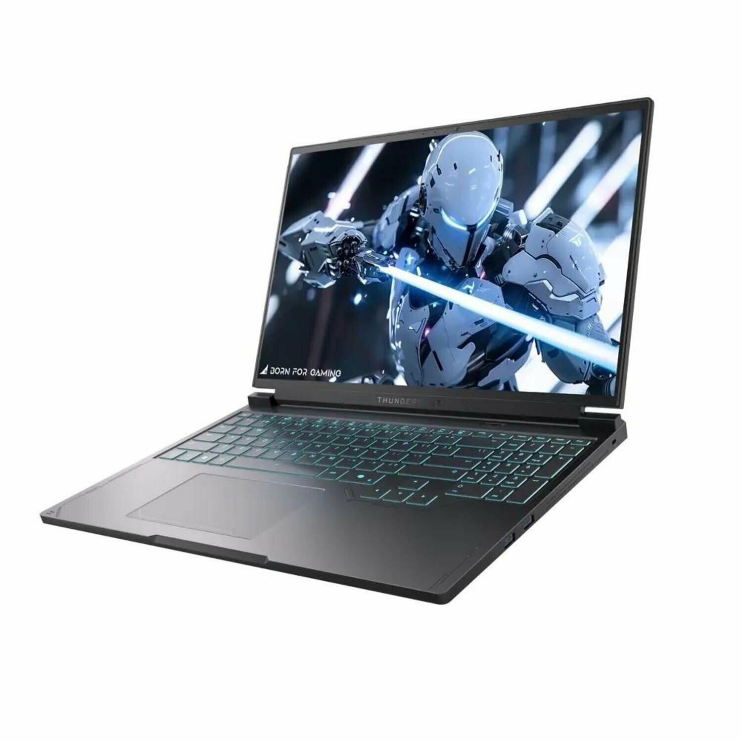 Игровой ноутбук Thunderobot Radiant 16 i9 5080 2.5K QHD+ 300Hz Intel Core i9-14900HX\64GB\2TB RTX 5080 (9SIB0GJKGD6072)