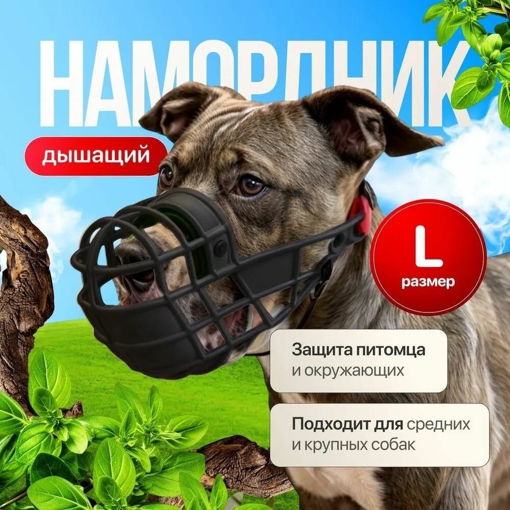 Намордник