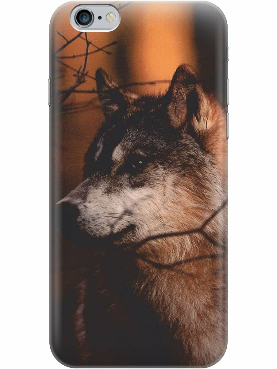 Силиконовый чехол на Apple iPhone 6S Plus / 6 Plus / Эпл Айфон 6 Плюс / 6с Плюс с рисунком "Красивый волк"
