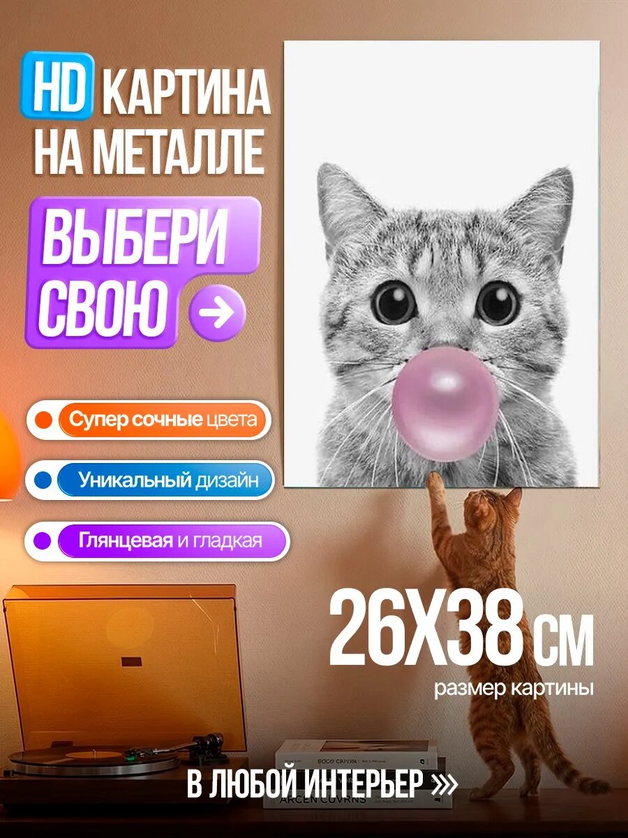 Картина на HD металле Кот с жвачкой