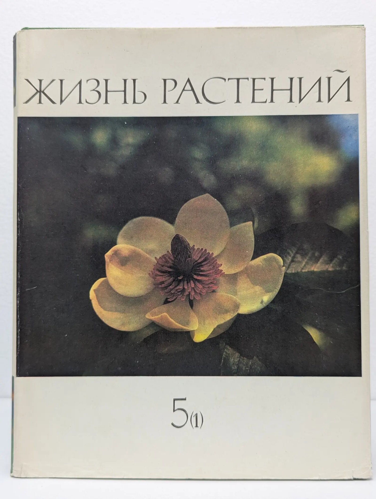 Жизнь растений. В 6 томах. Том 5. Часть 1. Цветковые растения Тахтаджян Армен Леонович (ред.) 1980
