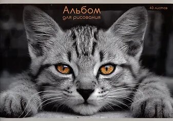 Альбом для рисования «Взгляд кота» Listoff А4, 40 листов, скрепка