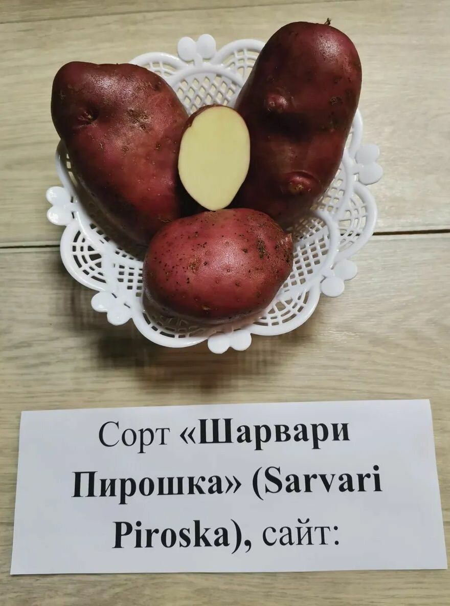 Шарвари Пирошка- 2 кг.