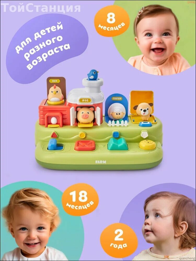 Сортер — фото 1