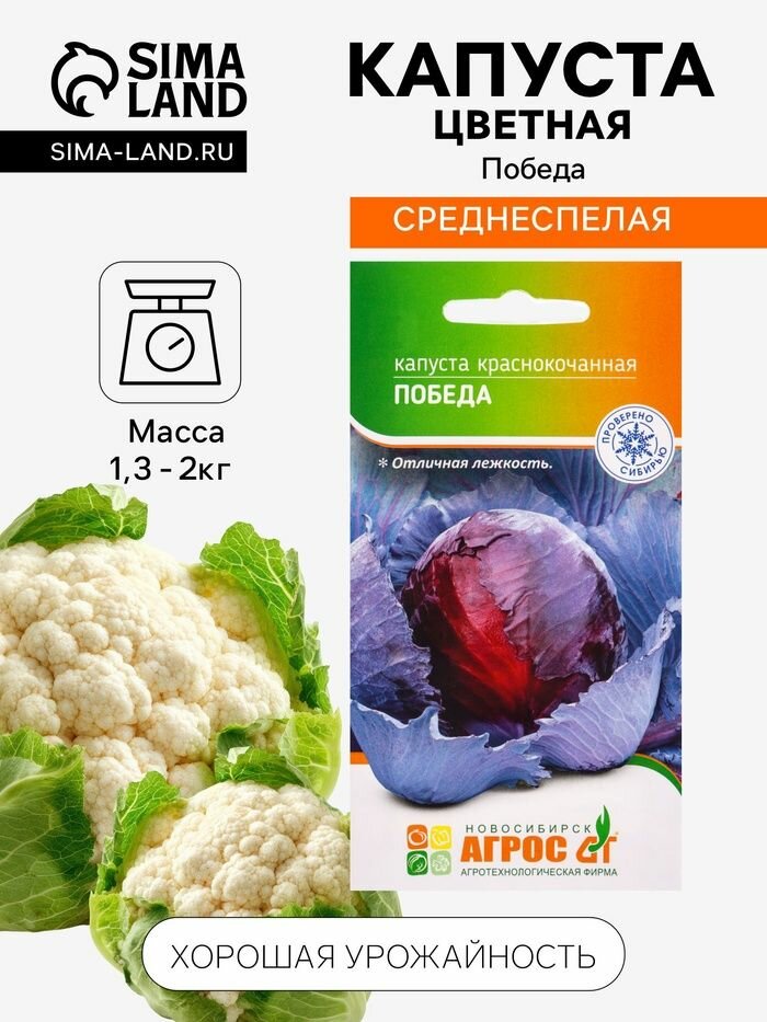 Семена Капуста Победа 0.3 г, Агросс