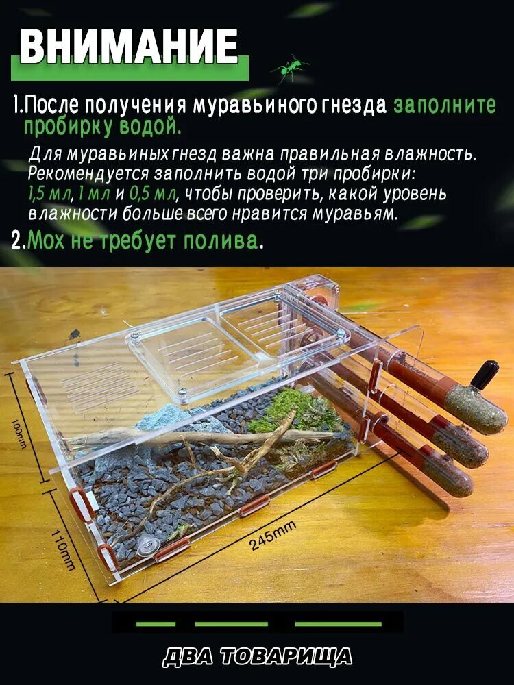 Муравьиная ферма — фото 1