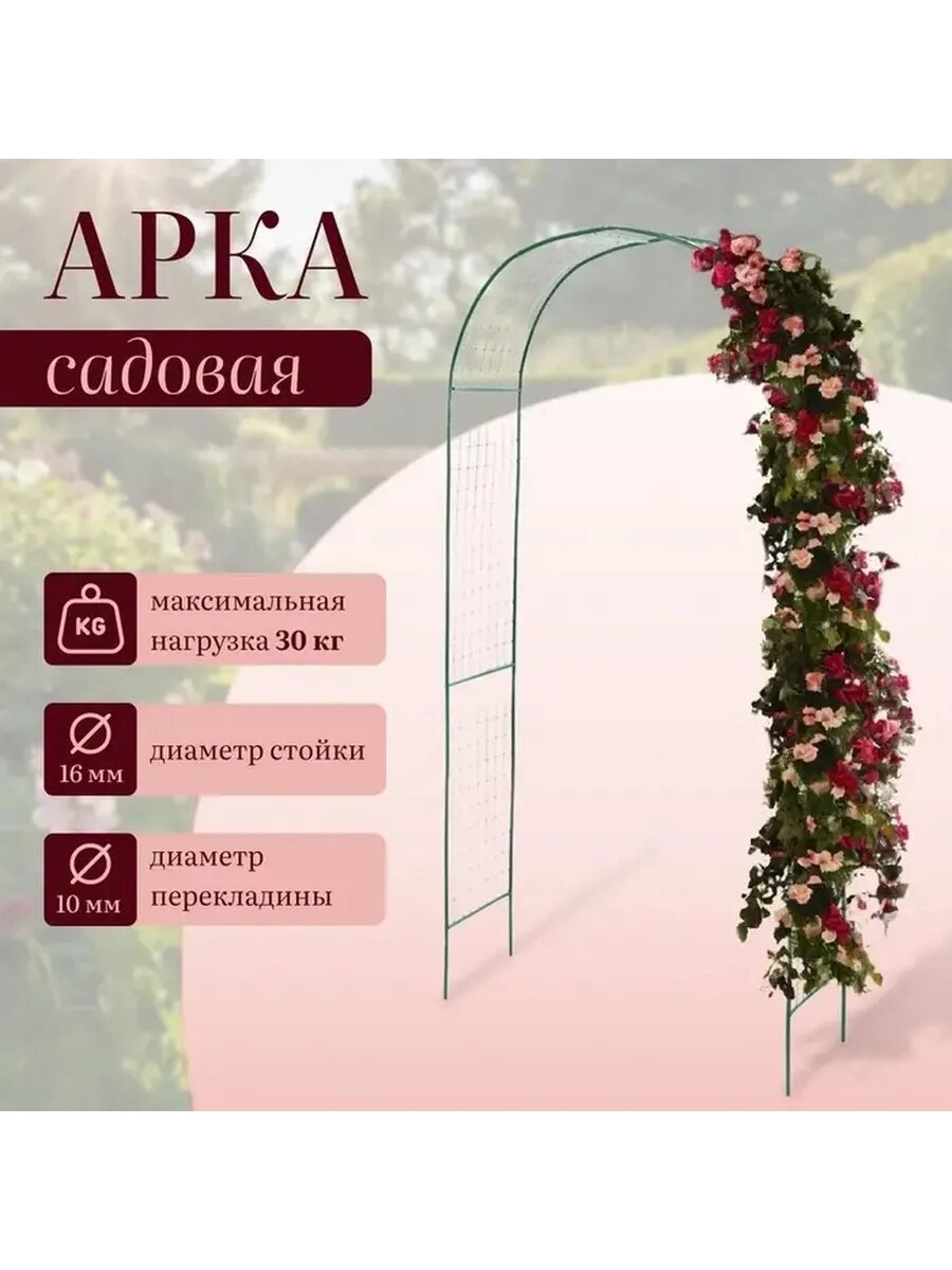 Элегантная садовая арка для вьющихся растений