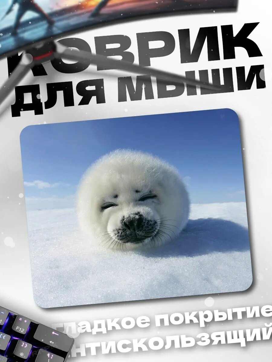 Коврик для мыши белёк тюленя