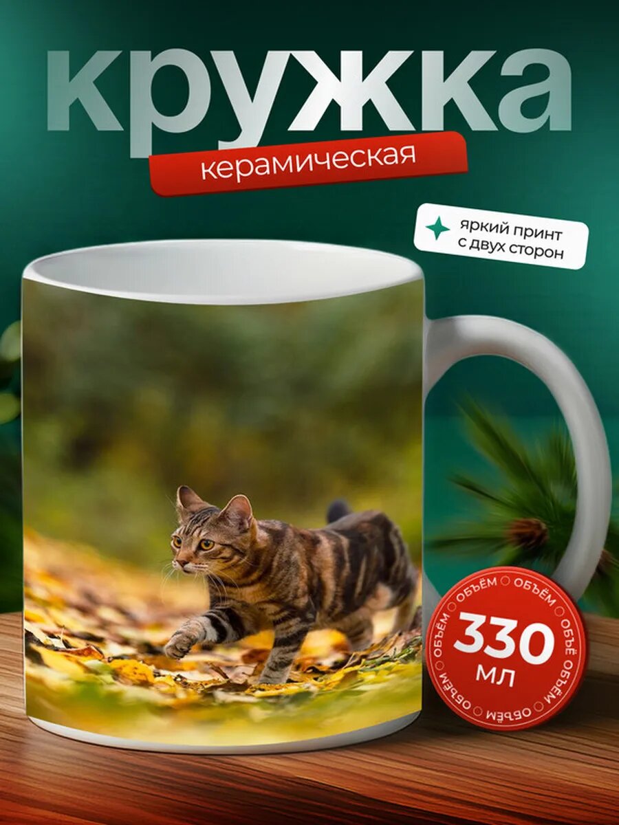 Кружка Северная лесная кошка 36,