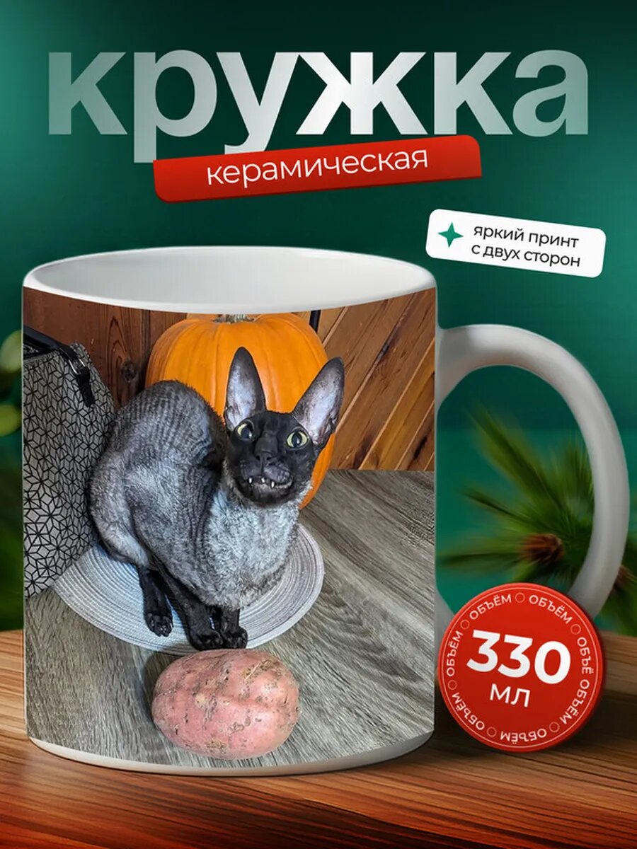 Кружка Американский рингтейл кот 50,