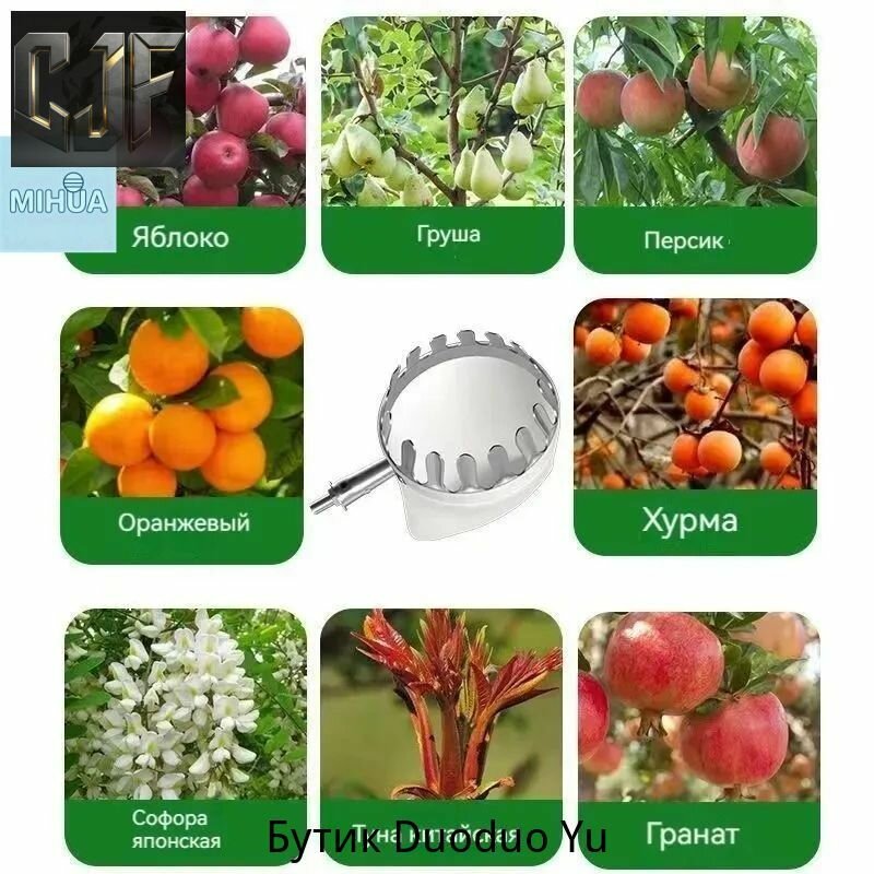 Телескопический сборщик фруктов из нержавеющей стали с удлинённой ручкой, для яблок и груш, съёмный и прочный — фото 1